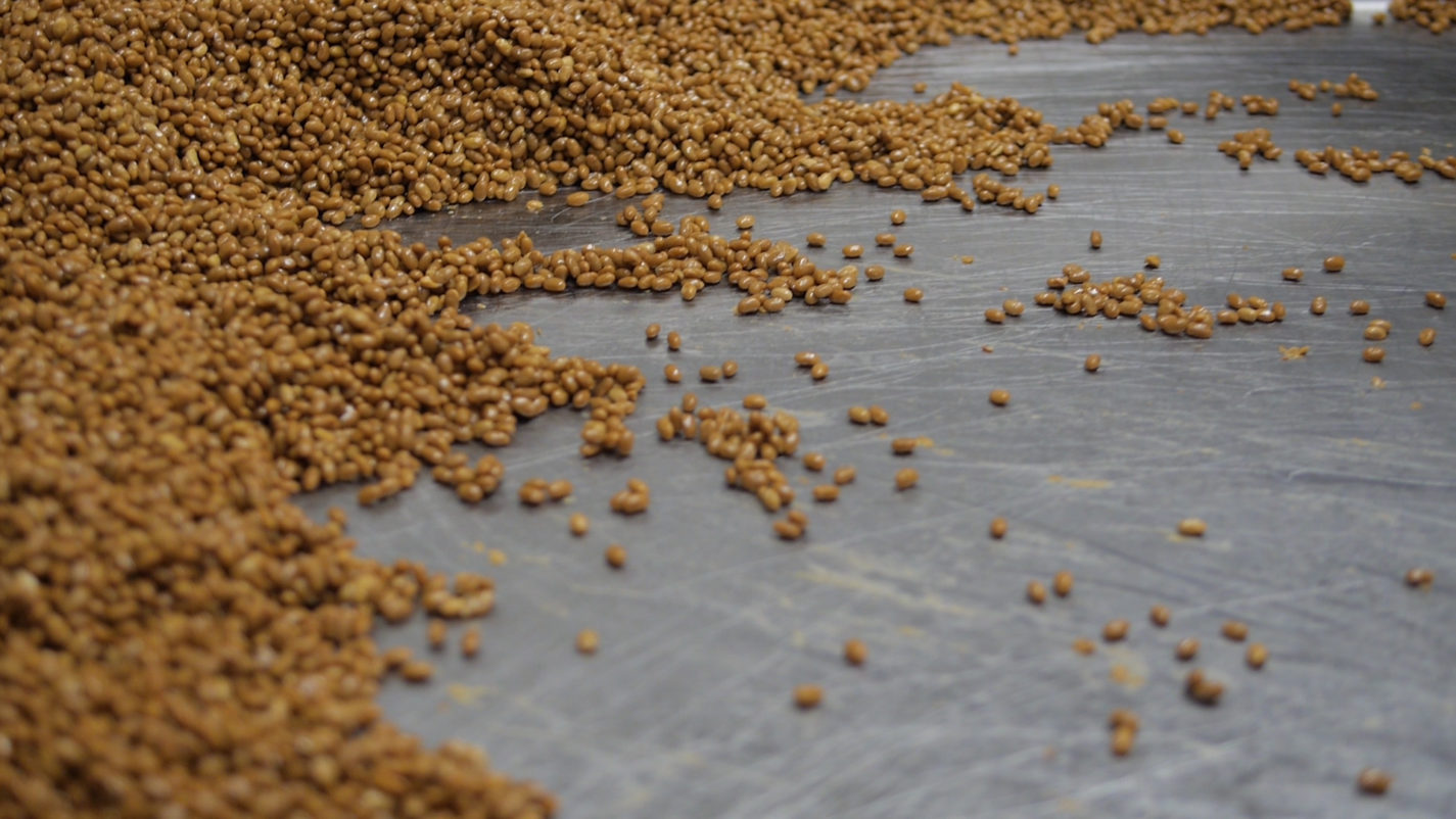 NYrture Natto: Clearing The Path for The Stinky, Sticky, Beloved ...