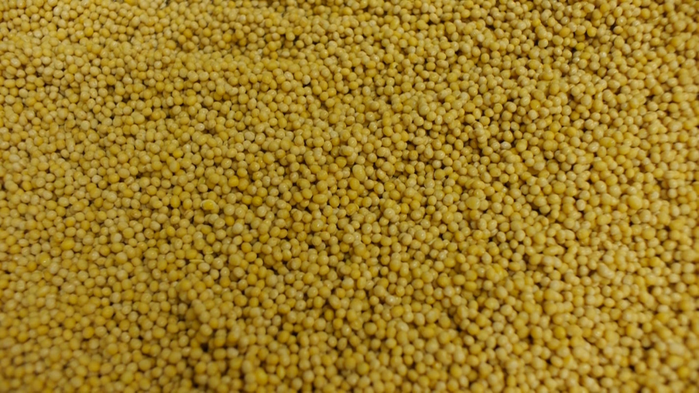 NYrture Natto: Clearing The Path for The Stinky, Sticky, Beloved ...