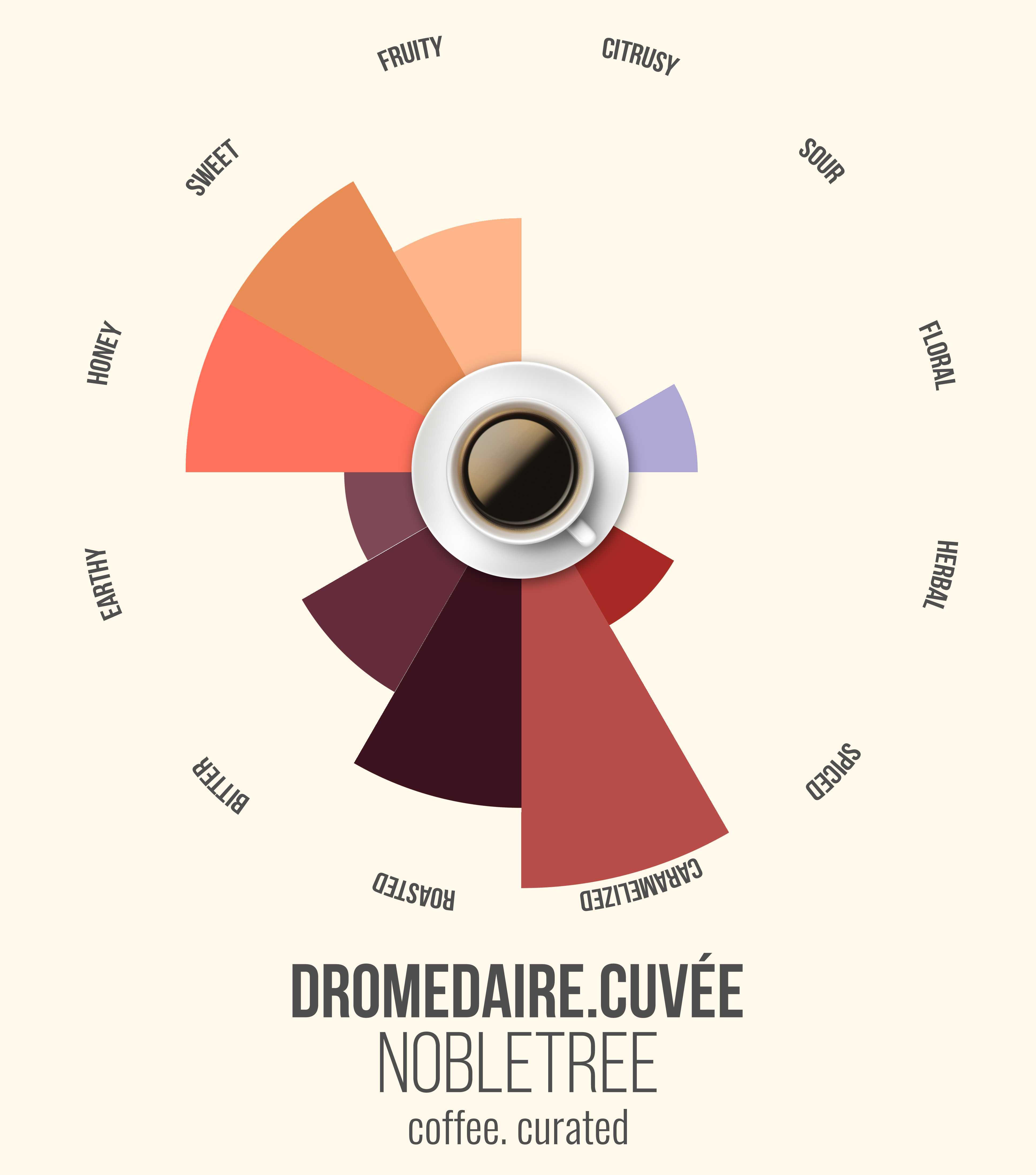 Coffee. Curated. Roaster Roundups: Nobletree Coffee - Food. Curated.